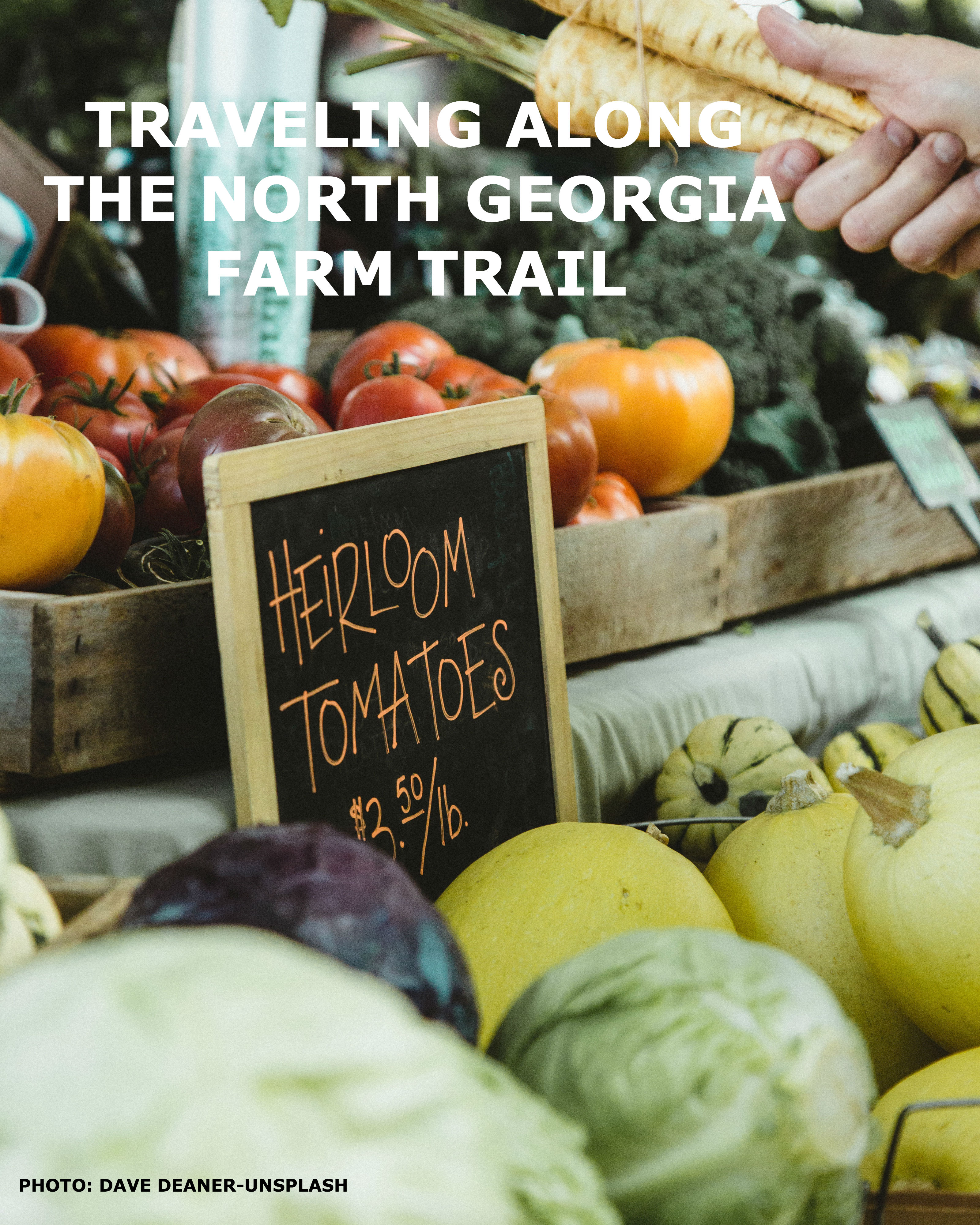 Take a Tasty Tour Of The North Georgia Farm Trail