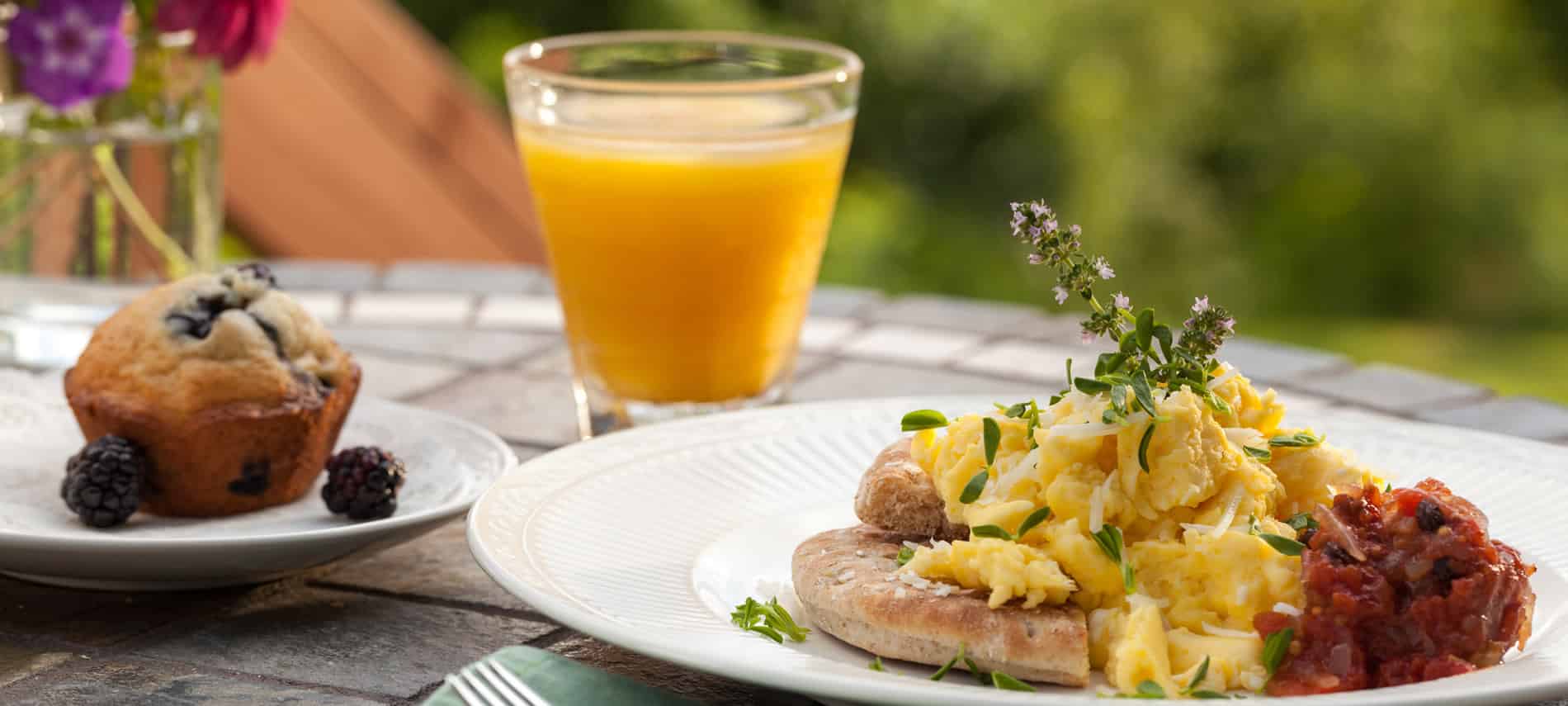 Exquisite Gourmet Breakfast You Don't Want to Miss