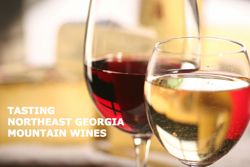 Getting to Know Northeast Georgia’s Montaluce Winery