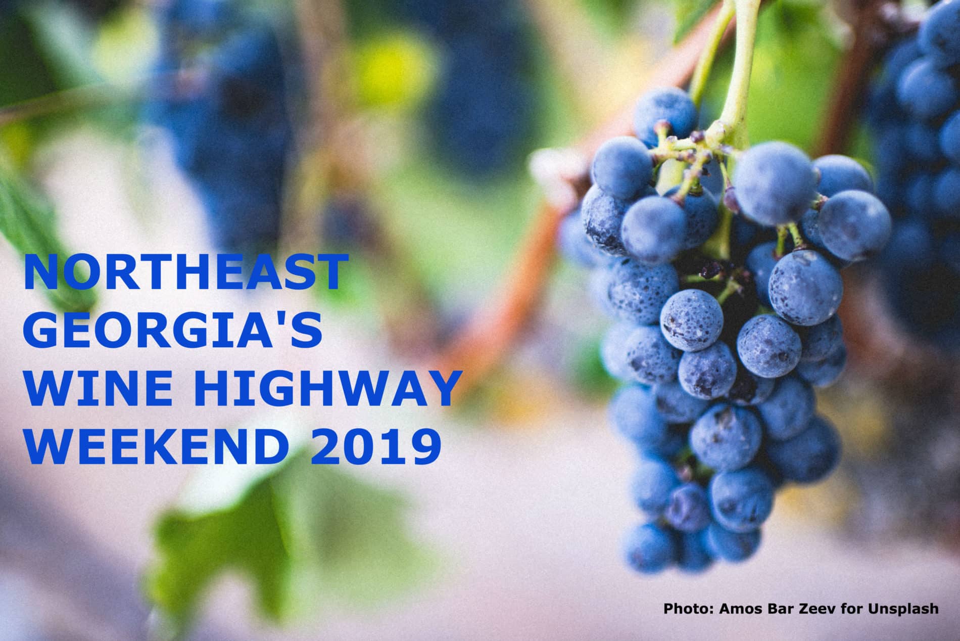 NE Georgia Wine Highway Weekends: March 22-29, 2019