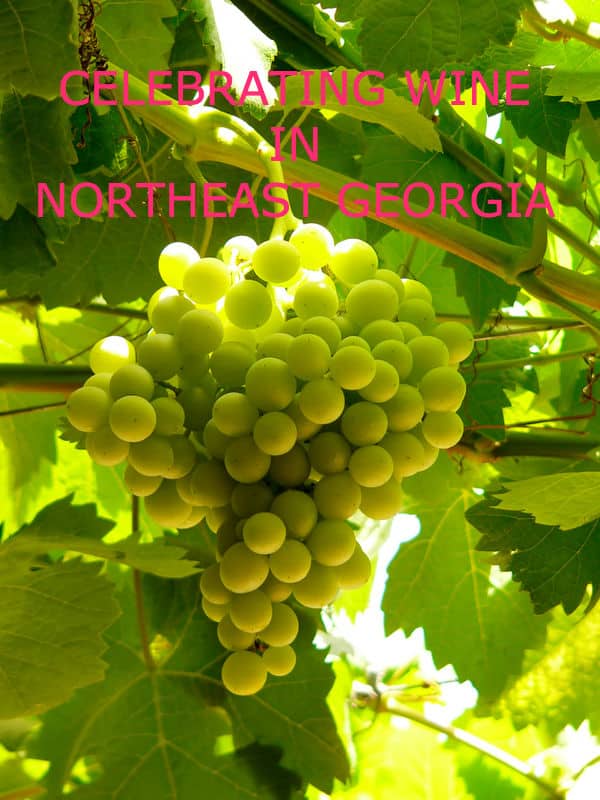 Georgia’s 2017 Wine Highway Weekends, March 24-April 2